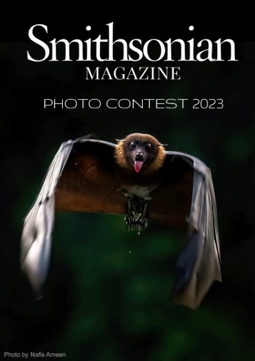 2023 Photography Competitions | International - Competitions - 2023 ...